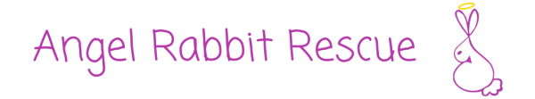 Available Rabbits - Angel Rabbit Rescue