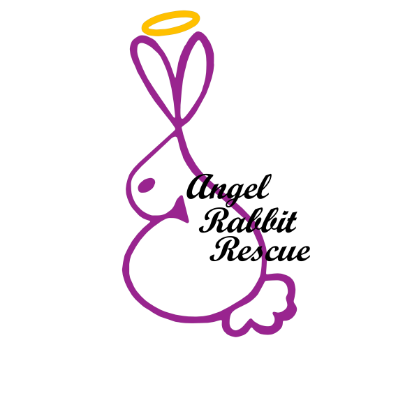 Meet The Animals - Angel Rabbit Rescue