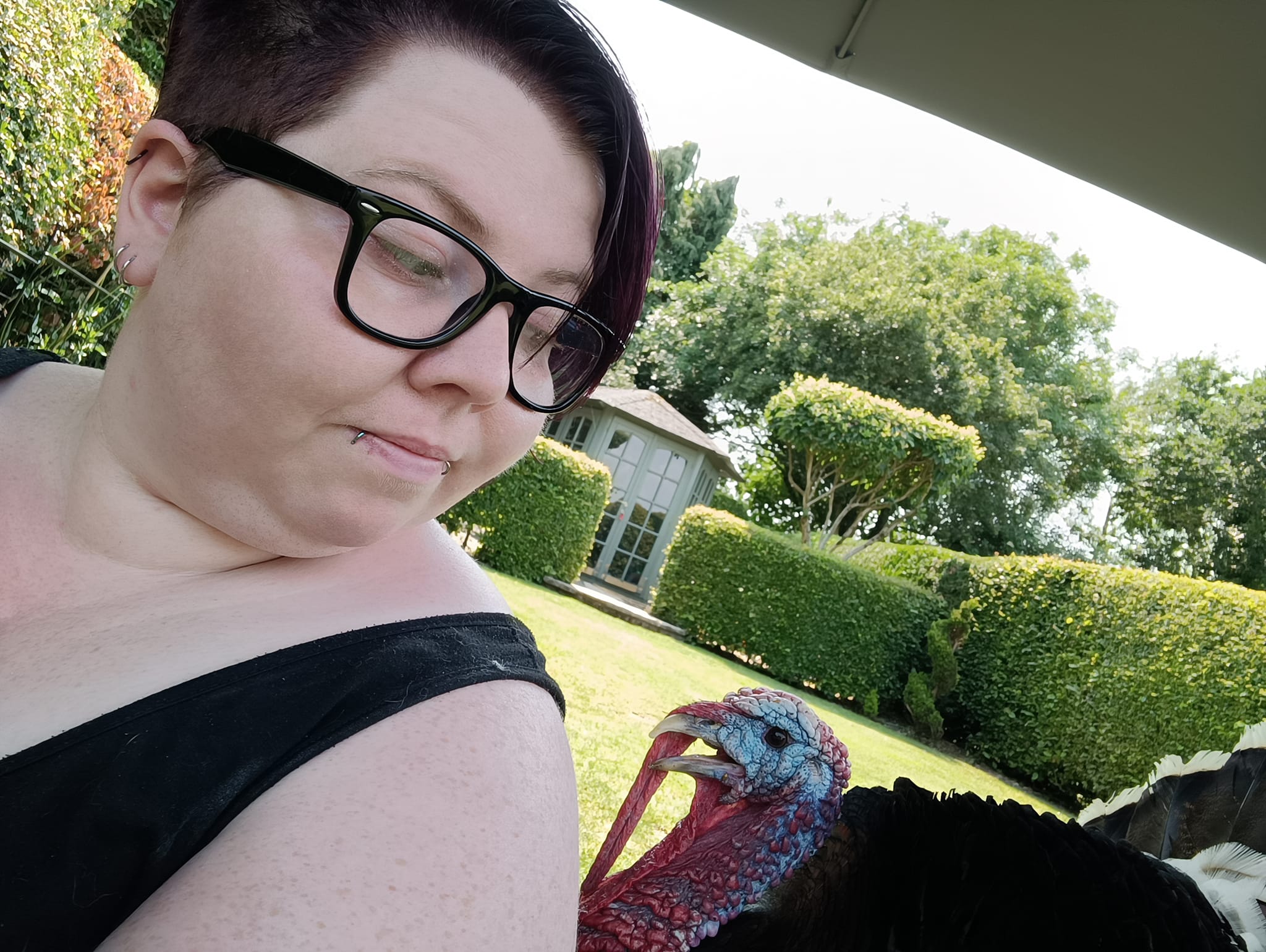 Spartacus - Angel Rabbit Rescue